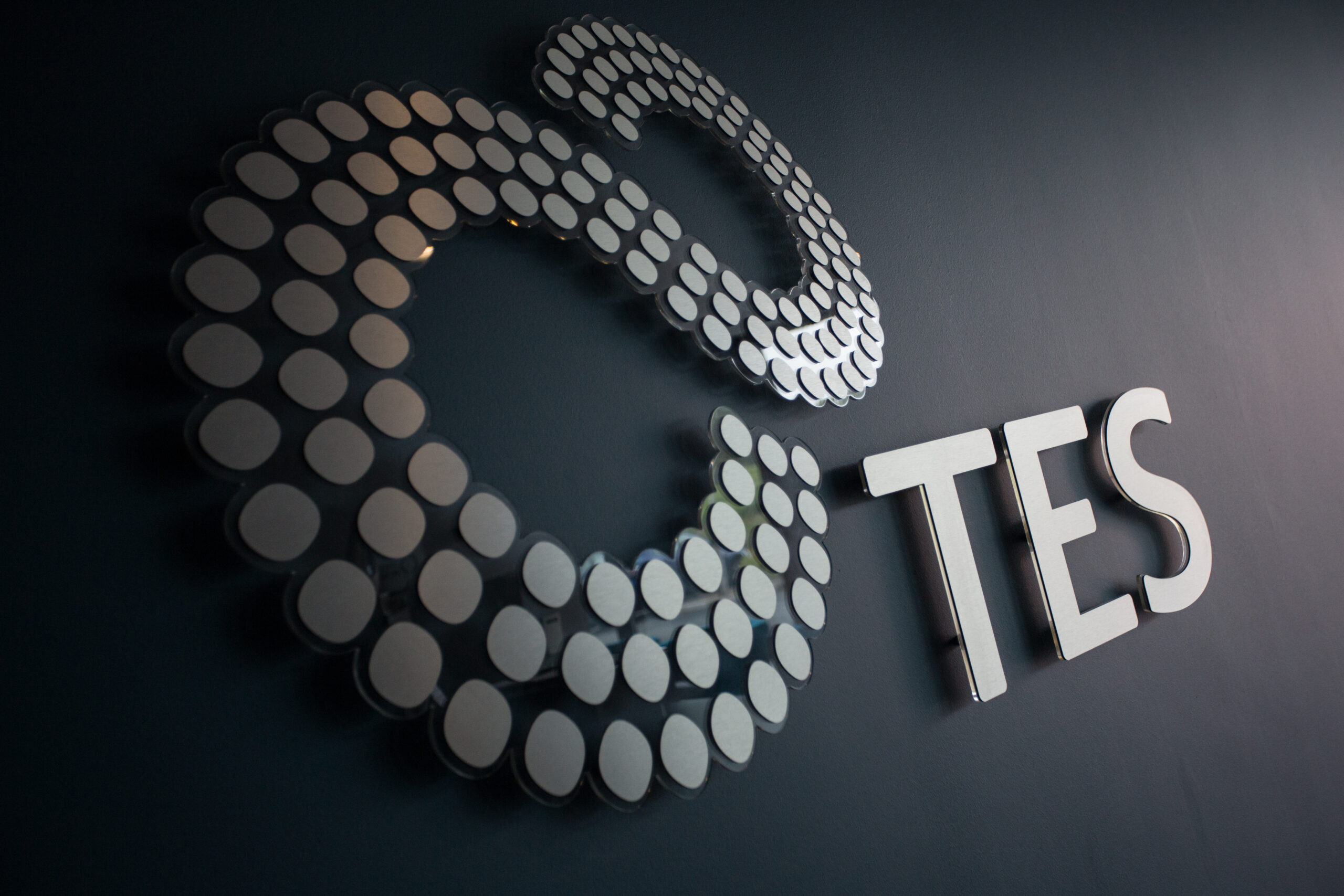 TES Group - Ionic IT